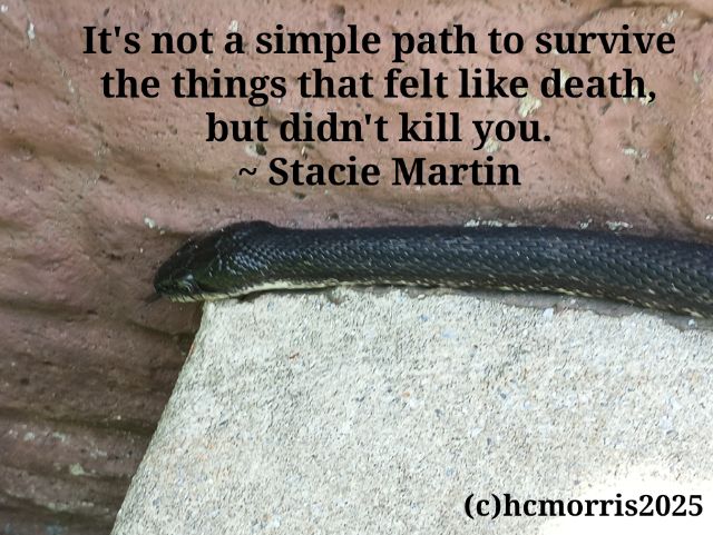 not a simple thing – Holly'sWorld2.0