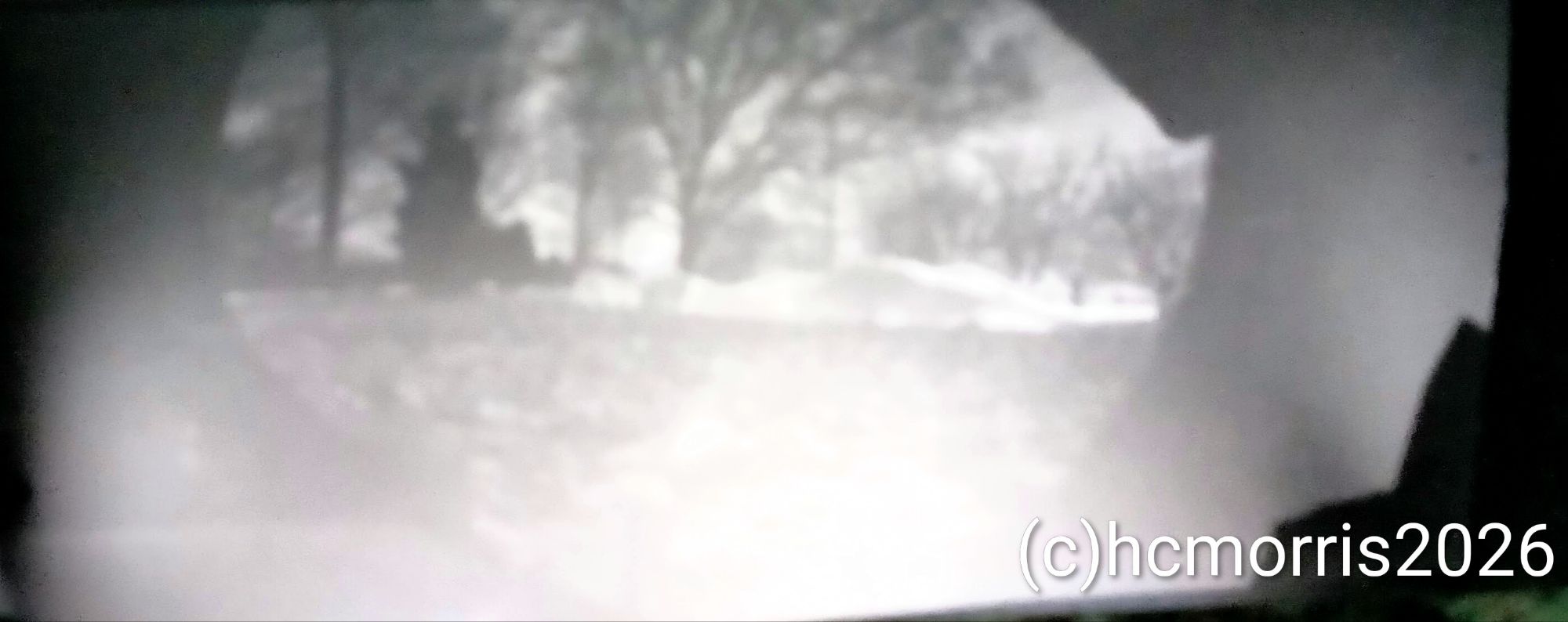 Generation Jones – Holly'sWorld2.0